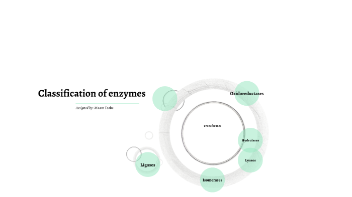 classification of enzymes by Aarzoo Arshad on Prezi