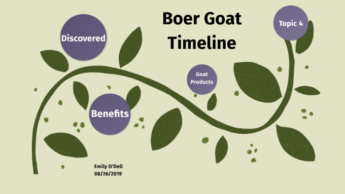 Goat timeline by Emily O'Dell on Prezi