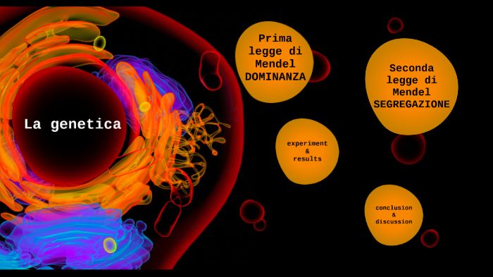 Da Mendel alla genetica moderna by Elena Martellato on Prezi