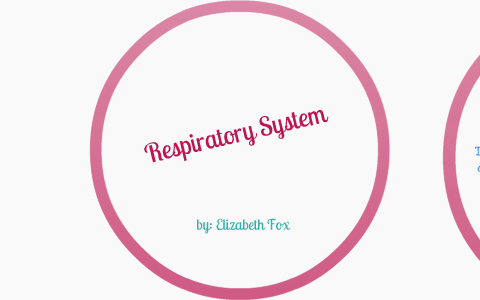 Respiratory System by Elizabeth Fox on Prezi