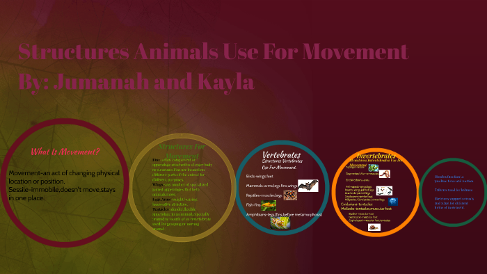 Structures Animals Use For Movement by Jumanah Al-Soudi on Prezi