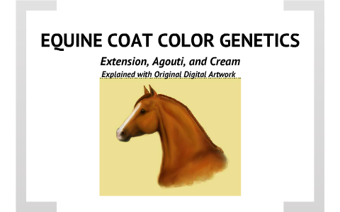 Horse Color Genetics: Digital Drawings by R Walton on Prezi