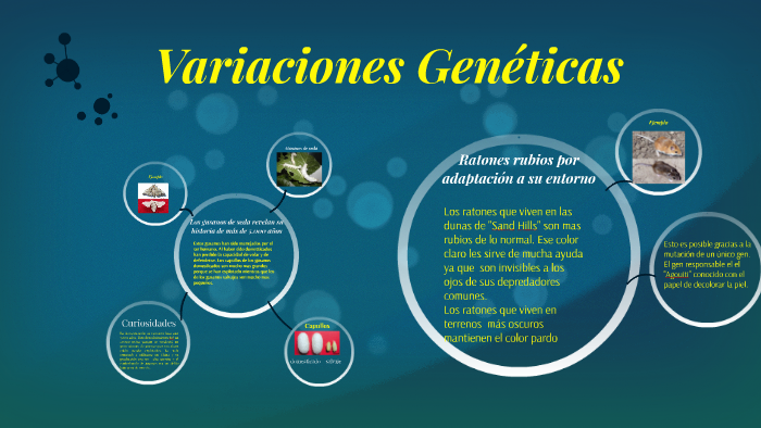 Variaciones Genéticas by marta pcm on Prezi
