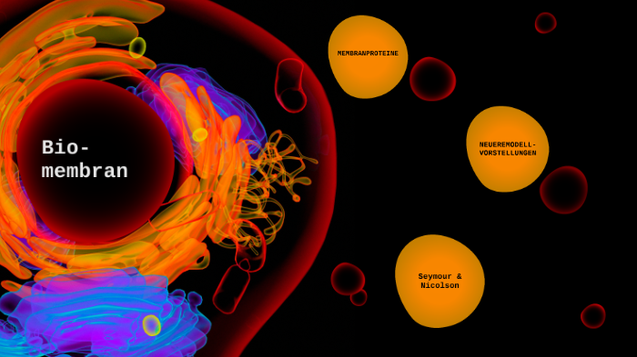 Biomembran by Manuel Balde on Prezi