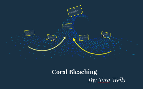 Coral Bleaching by Tyra Wells on Prezi