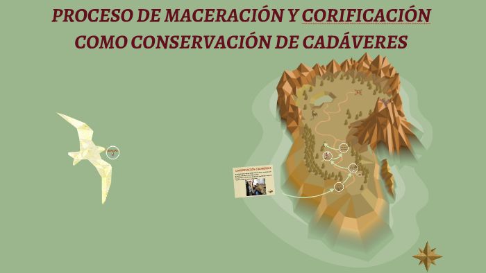 PROCESO DE MACERACIÓN Y CORIFICACIÓN by Rodrigo Arpasi on Prezi