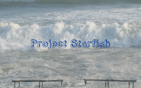 Project Starfish by Group Synergy