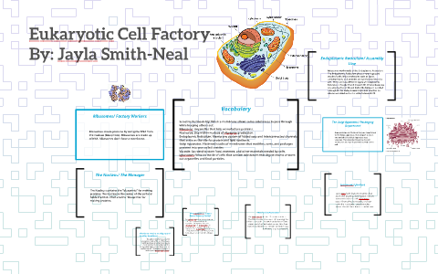 Eukaryotic Cell Factory by Jayla Smith-Neal on Prezi