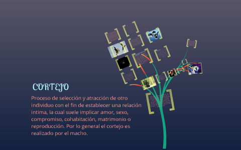 Tipos de cortejo by katherine Barragán on Prezi