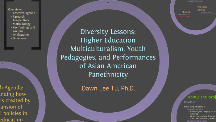 Diversity Lessons: Higher Education Multiculturalism, Youth Pedagogies ...