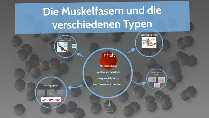 Die Muskelfasern und die verschiedenen Typen by jesse lalala on Prezi