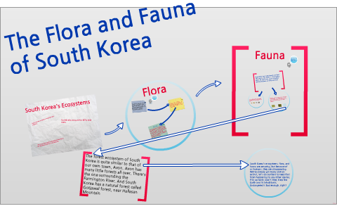 The Flora and Fauna of South Korea by Pauline Park on Prezi