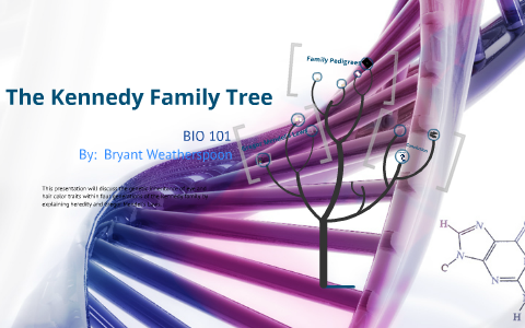 Kennedy Family Tree: Generations 1 - 4 by Bryant Weatherspoon on Prezi