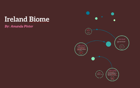 Ireland Biome by Amanda Pinter on Prezi