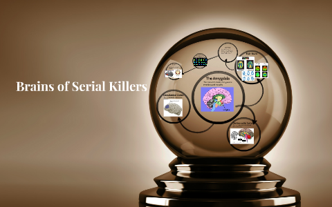 Brains of Serial Killers by Molly Elizabeth on Prezi