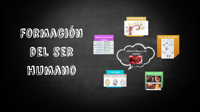 ¿Cómo se forma el ser humano? by on Prezi