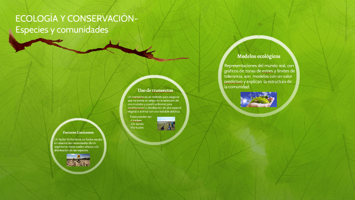 Factores Limitantes by Mileny Vásquez on Prezi