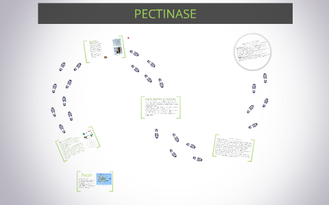Pectinase Overview by Zach Kowalsky on Prezi