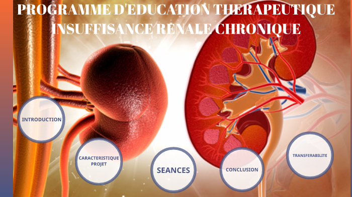 Insuffisance rénale chronique by anais VENEAU on Prezi
