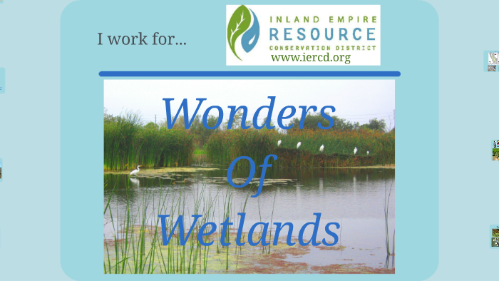 Wetlands 1st grade by Ed Team on Prezi