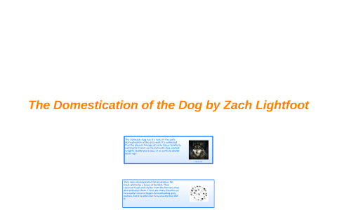 Animal Domestication Timeline by Zach Lightfoot on Prezi