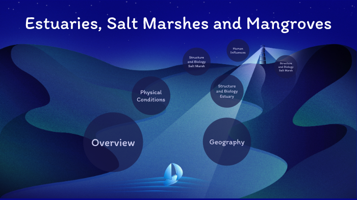 Estuaries, Salt Marshes and Mangroves by Hunter Denor on Prezi
