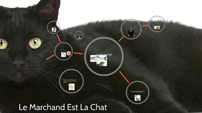 Le Marchand by megan wachna on Prezi