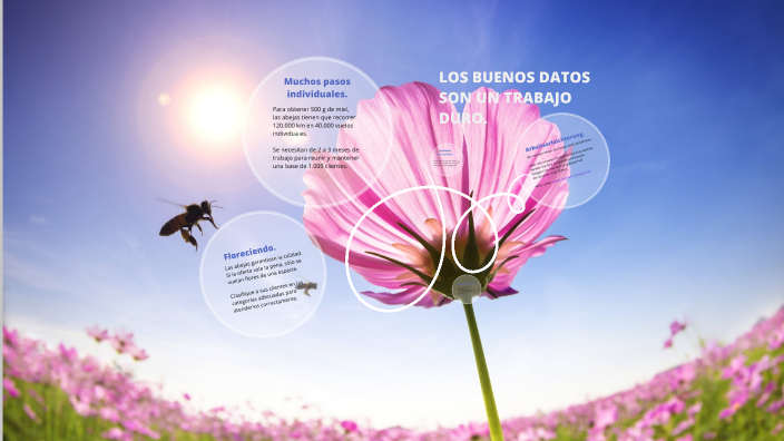 Les buenos datos son un trabajo duro by Joerg Vogler on Prezi