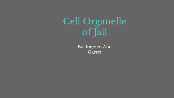 Cell Analogy Project (Jail) by Shayla Moore on Prezi