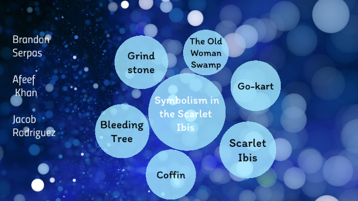 Scarlet Ibis Symbols by Brandon Serpas on Prezi