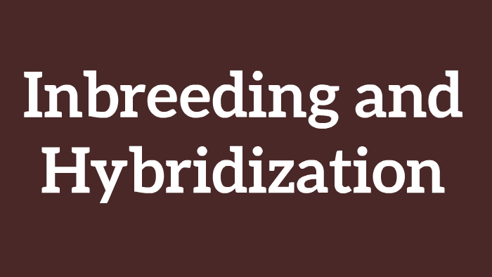 Inbreeding and Hybridization by Deana Triemer on Prezi