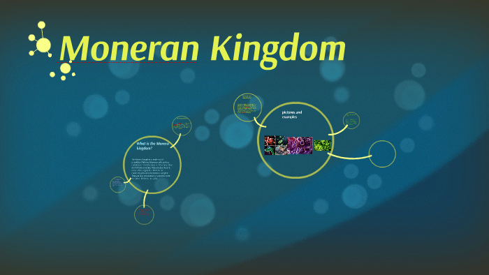 Moneran Kingdom by john mauceri on Prezi
