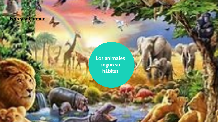 Clasificación de los animales según su hábitat by Carmen Beatriz ...