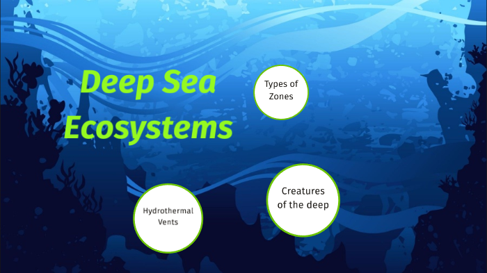 Deep Sea Ecosystems by on Prezi