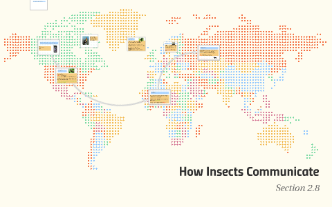How Insects Communicate by Tiffany Trotter on Prezi