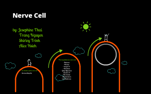 Nerve Cell Project by Alice Hsieh on Prezi