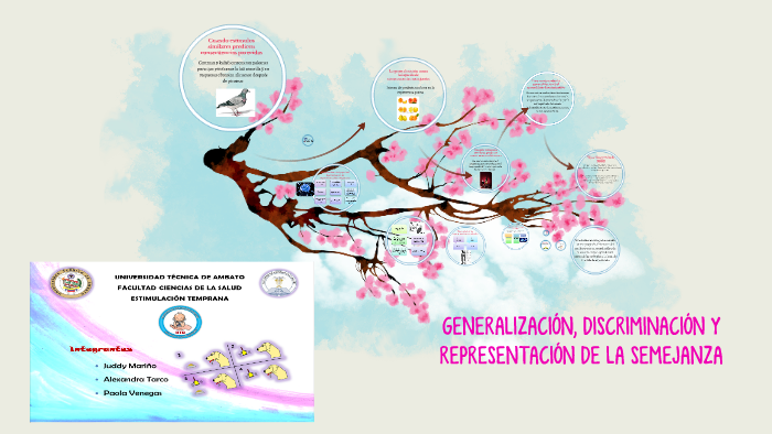 La generalización basada en el significado puede compararse by ...