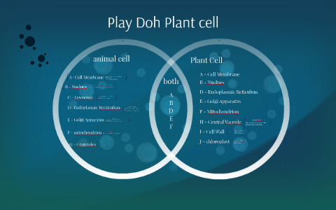Play Doh Plant cell by vzaw eh on Prezi