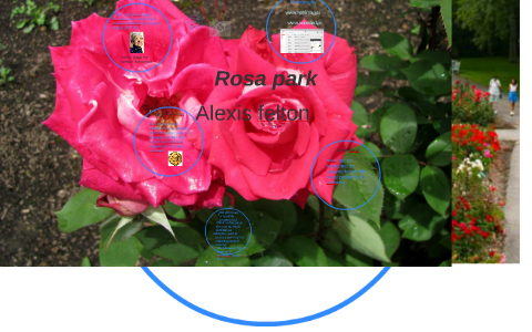 Rosa park by alexis felton on Prezi