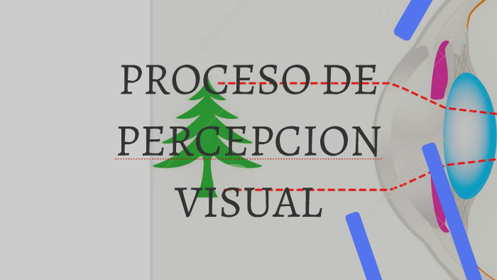 Proceso de percepcion visual by Jimena María Echeverría on Prezi