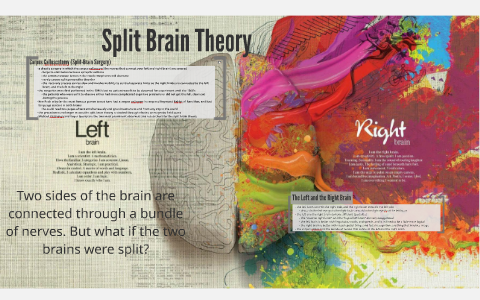 Split Brain Theory by Lucia Lau on Prezi