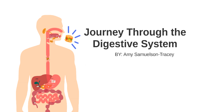 SBI3U - AMYST - MOD 8 - Digestion Story by a . s . on Prezi