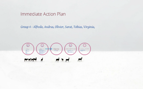 Immediate Action Plan by Andras K on Prezi