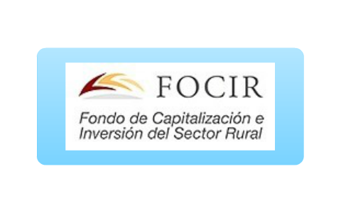 FOCIR by ernesto guevara on Prezi