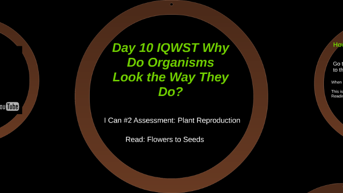 Day 10 IQWST Why Do Organisms Look the Way They Do? by Dan Covey on Prezi