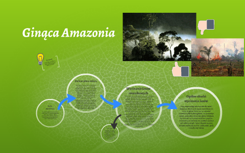 Ginaca Amazonia by Aleksandra Rynkiewicz on Prezi