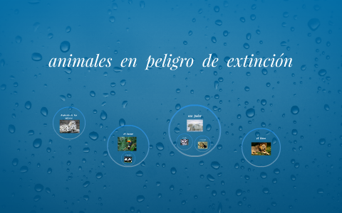 animales en peligro de extinción by Idis Rivera on Prezi