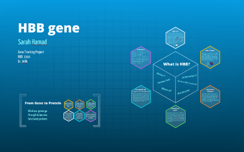 HBB gene by Sarah Hamad on Prezi