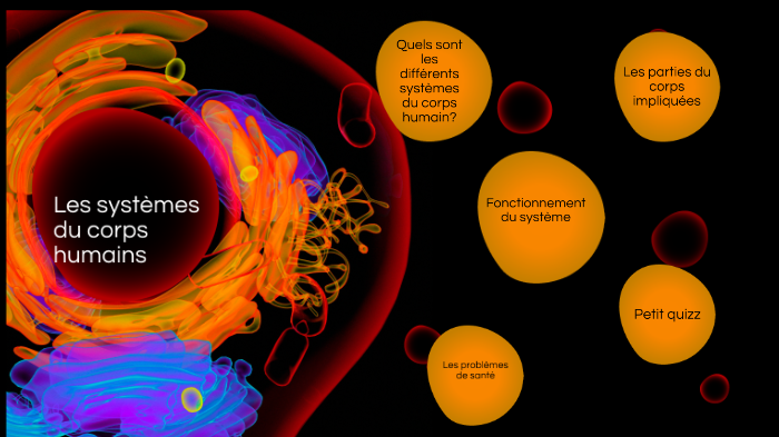 Système du corps humain by Christina Dumoulin on Prezi