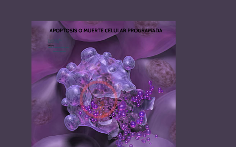 APOPTOSIS O MUERTE CELULAR PROGRAMADA by Brenda Gardea on Prezi